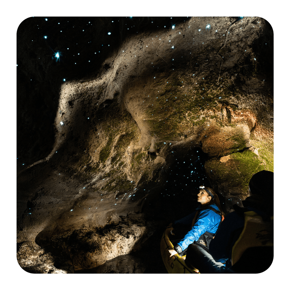 Glow Worm Cave Tours | Taiao Adventures