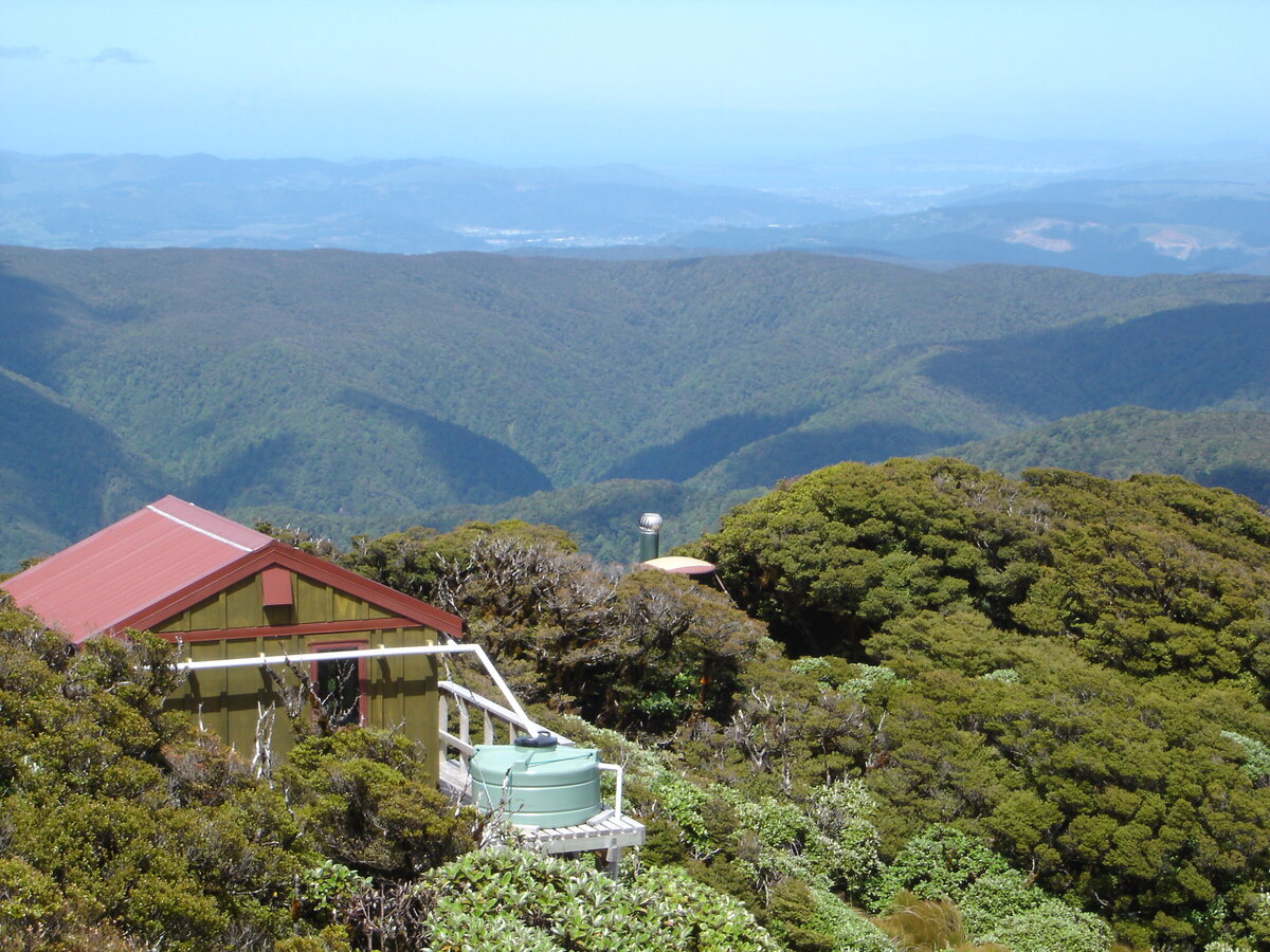 Stay at our Cottage and book in activities in Kapiti | Kapiti Retreat