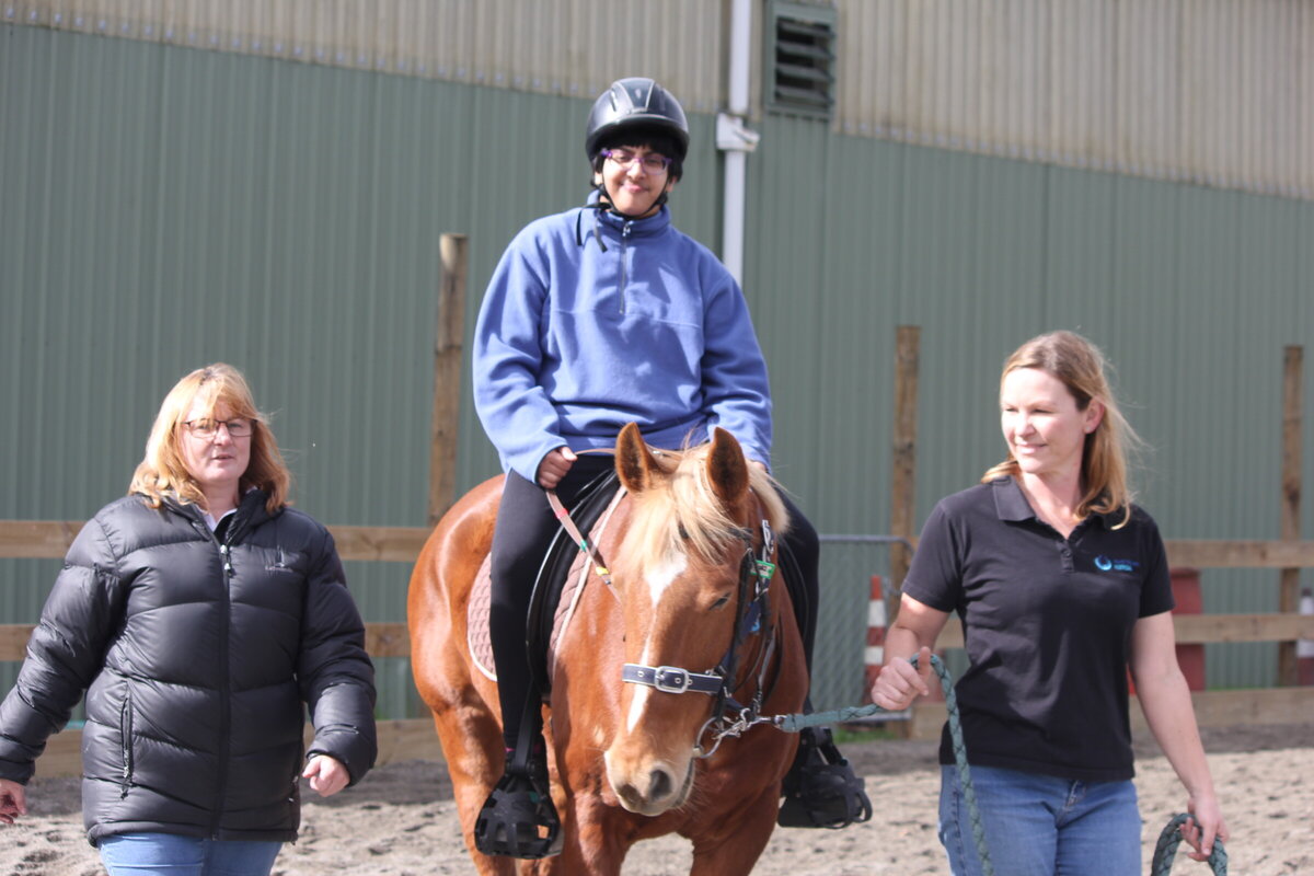Riding Programmes for the community. | Hutt Valley Riding for the Disabled