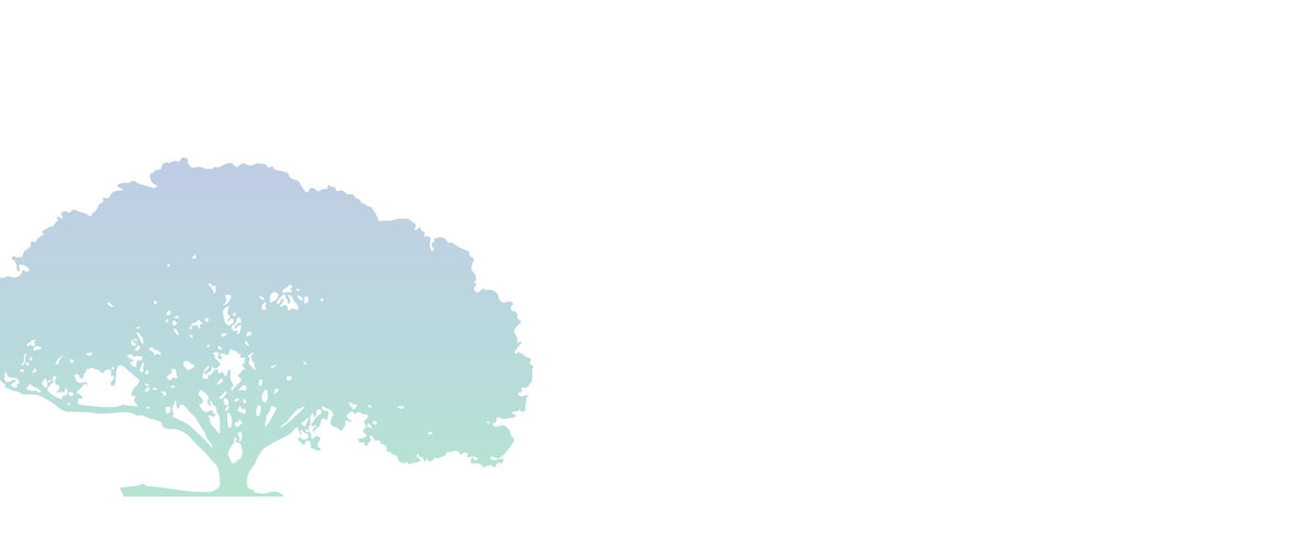 Visit Ōtorohanga: Kiwiana Capital & Cultural Gem | Elevate