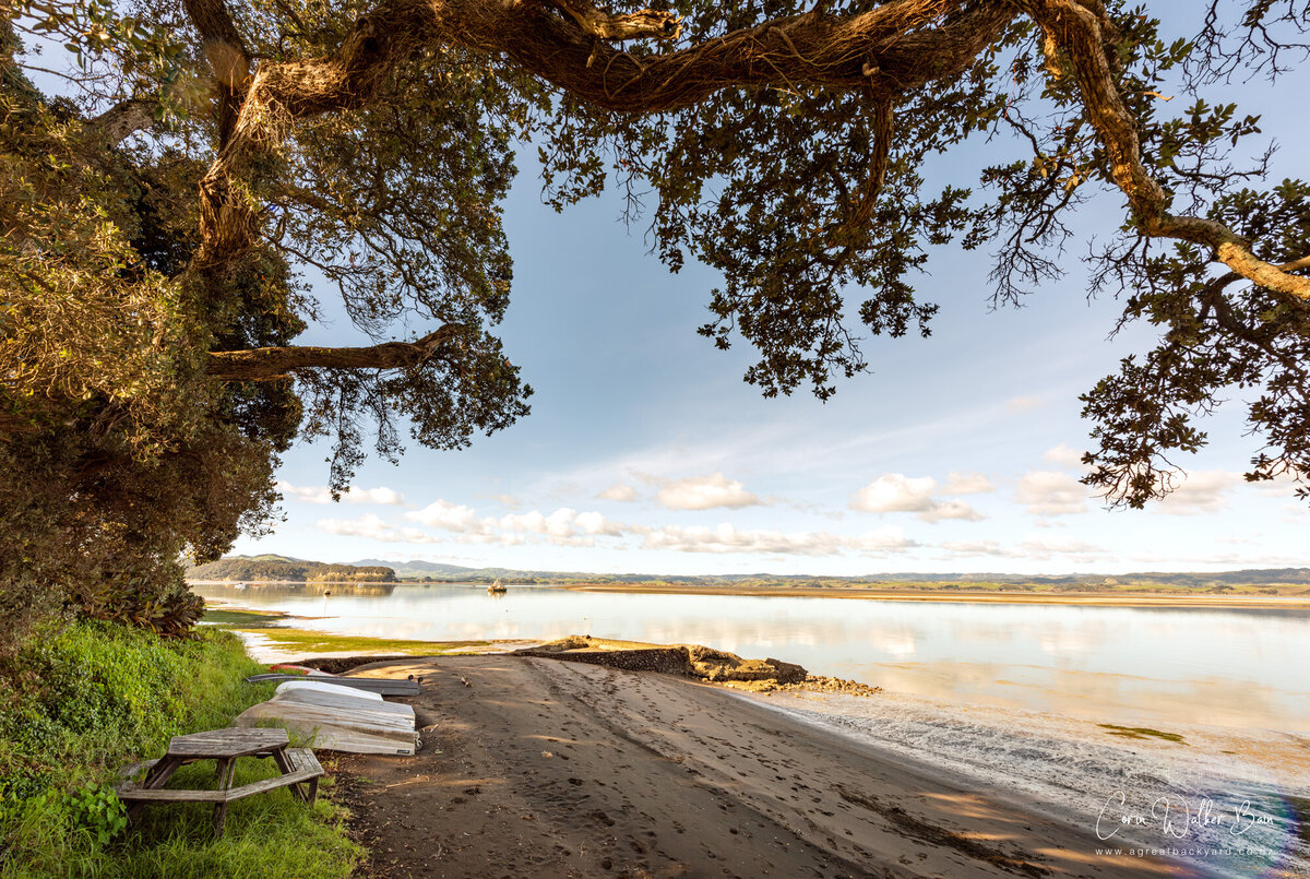Discover Kawhia: Natural Spa & Māori Culture | Elevate