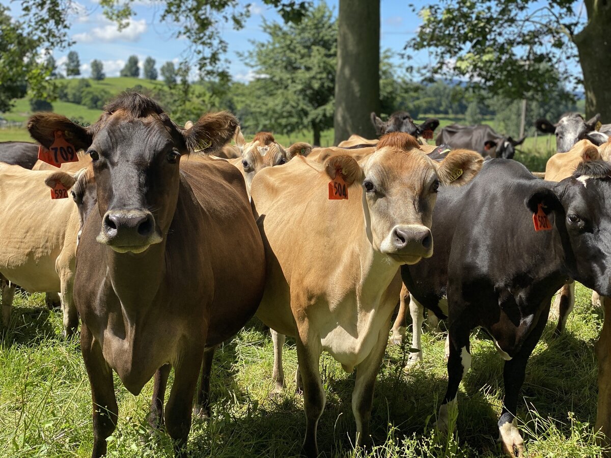 Target next season | WelFarm