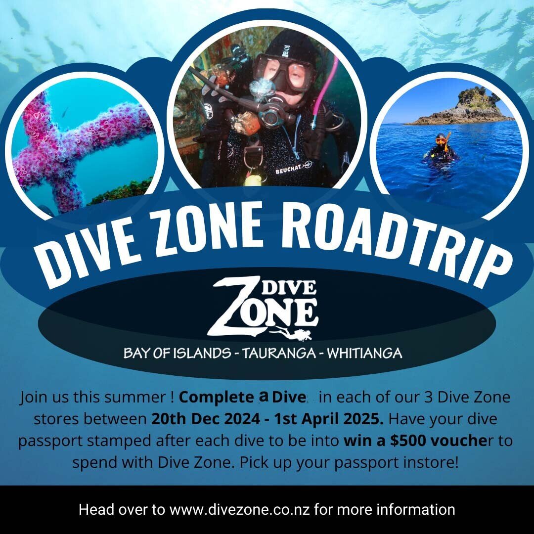 Dive Zone | Dive Zone