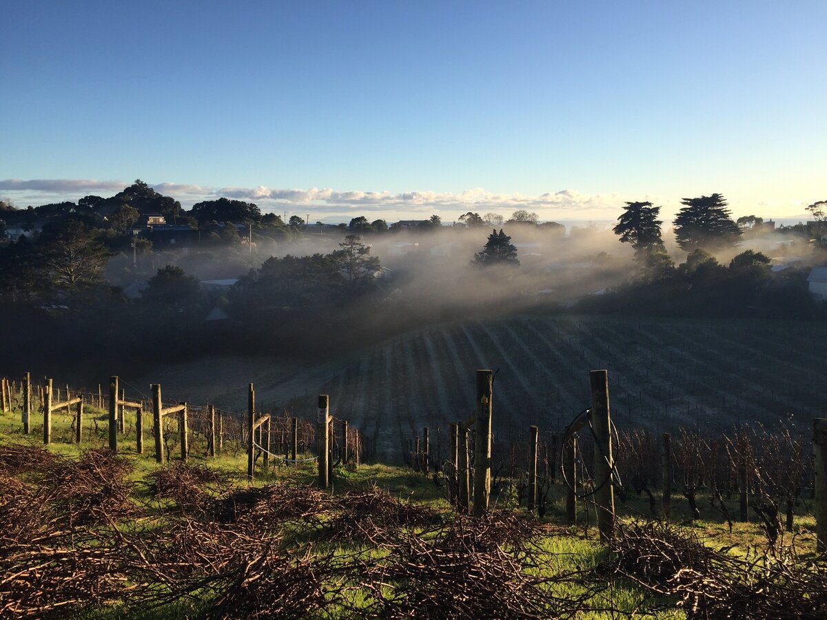 Casita Miro Vineyard | Authentic Spanish Restaurant Waiheke