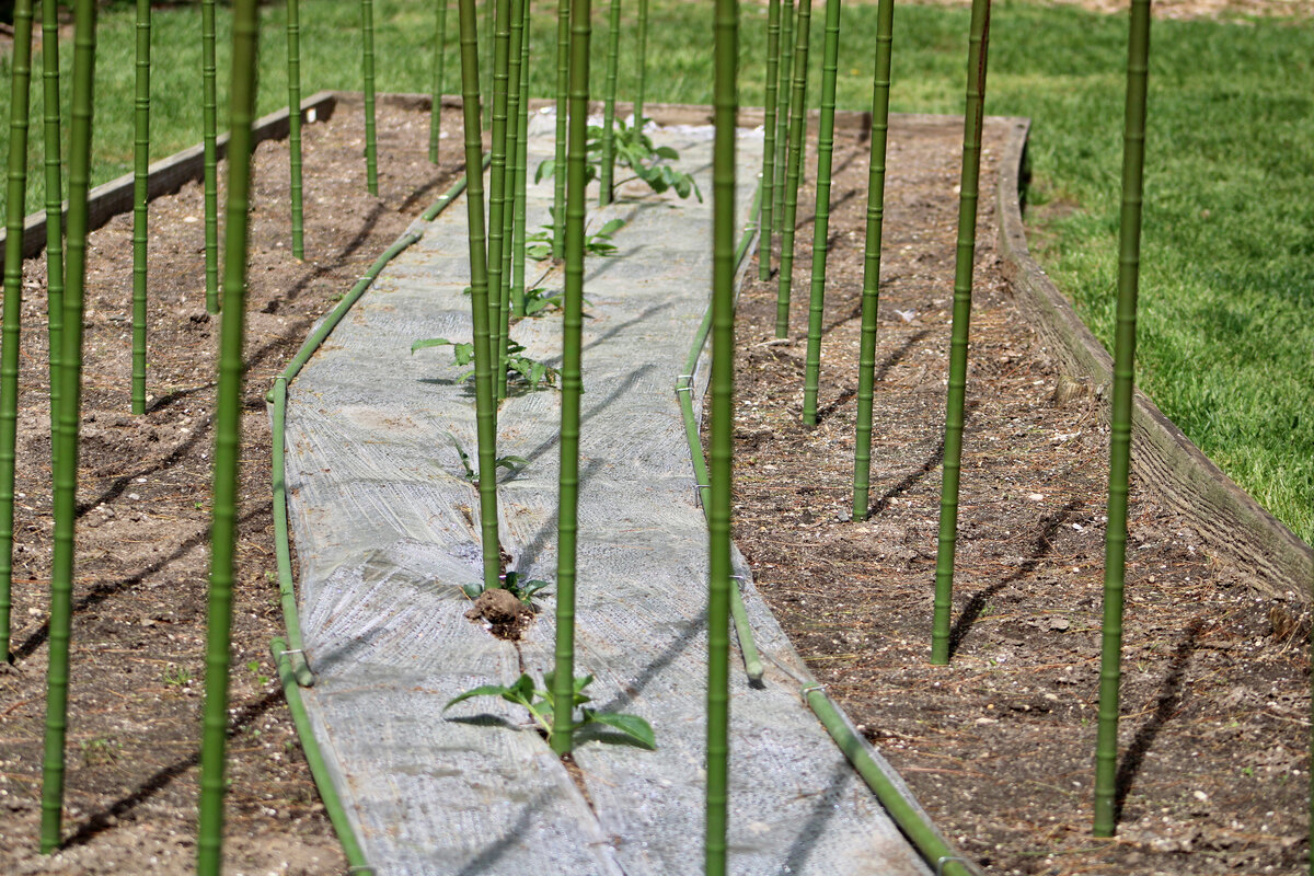 McHort | Tree Stakes & Ties for all your horticulture needs
