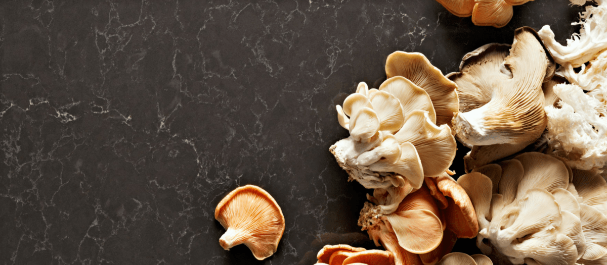 Livingstone Benchtops Ltd | Engineered Stone