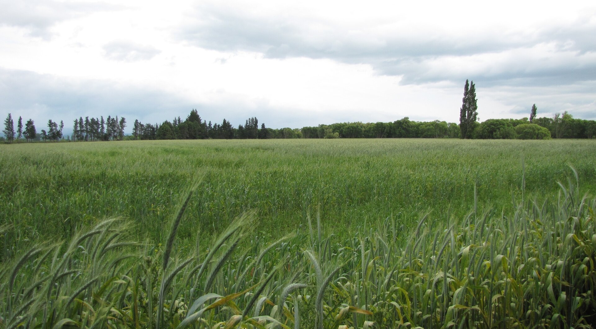 Dairy Farms| | BEL Group