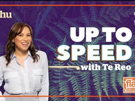 Stacey Morrison explains types of hui | Tangata Whenua Social Workers ...