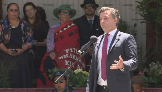 Seymour's speech at Waitangi drowned out by protest waiata | Tangata ...