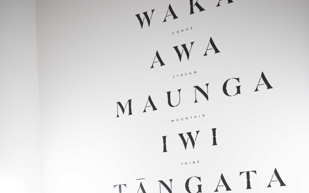 The anatomy | Tangata Whenua Social Workers Association