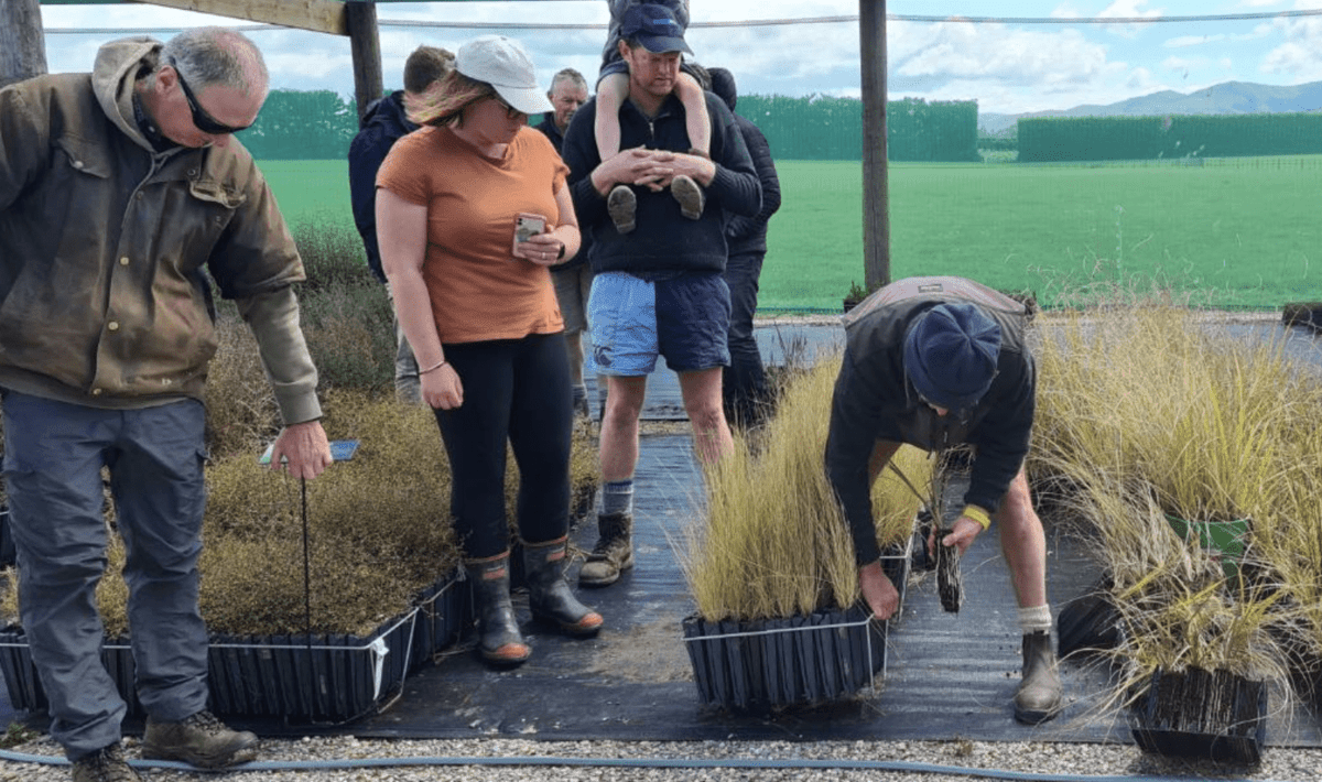 Thriving Southland marks five years of environmental effort | Thriving ...