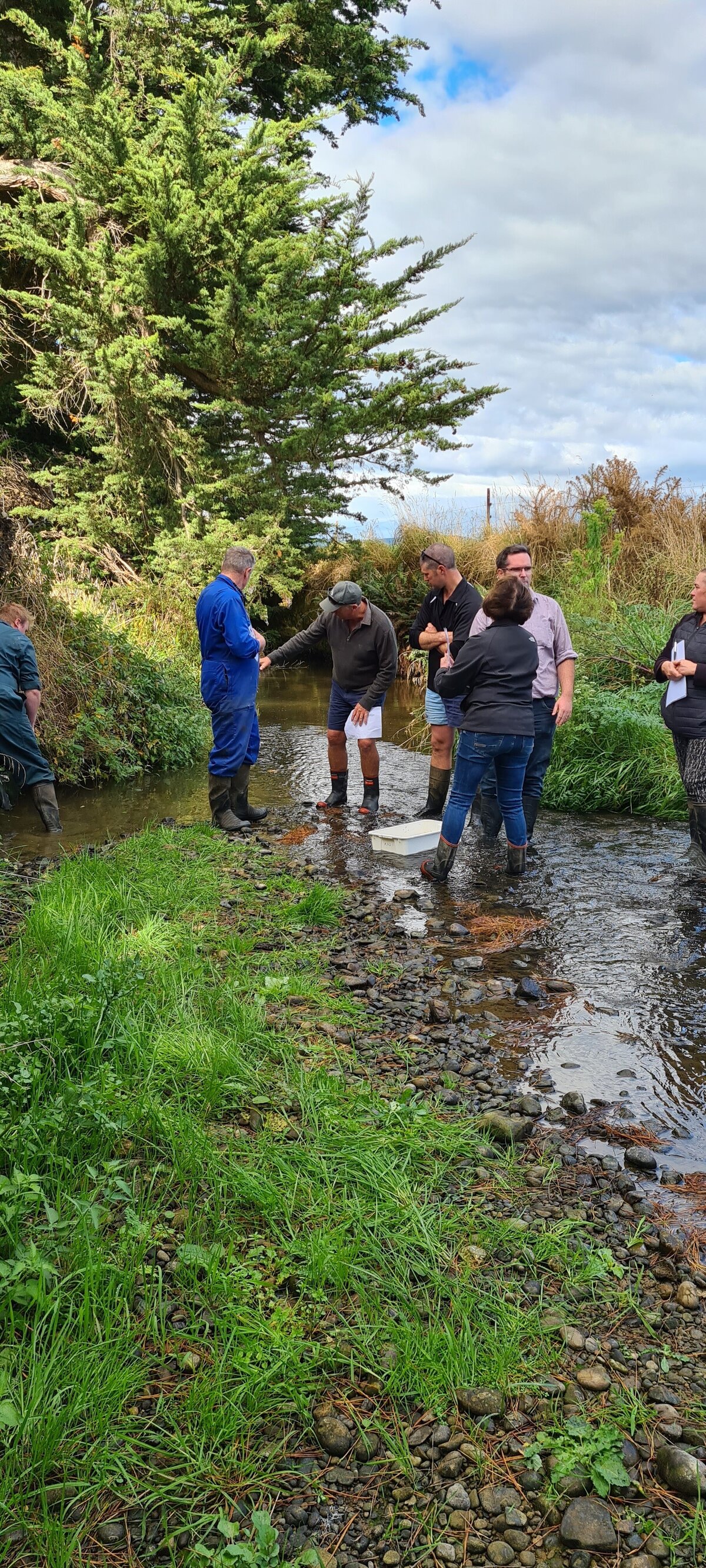 Mid Aparima | Thriving Southland