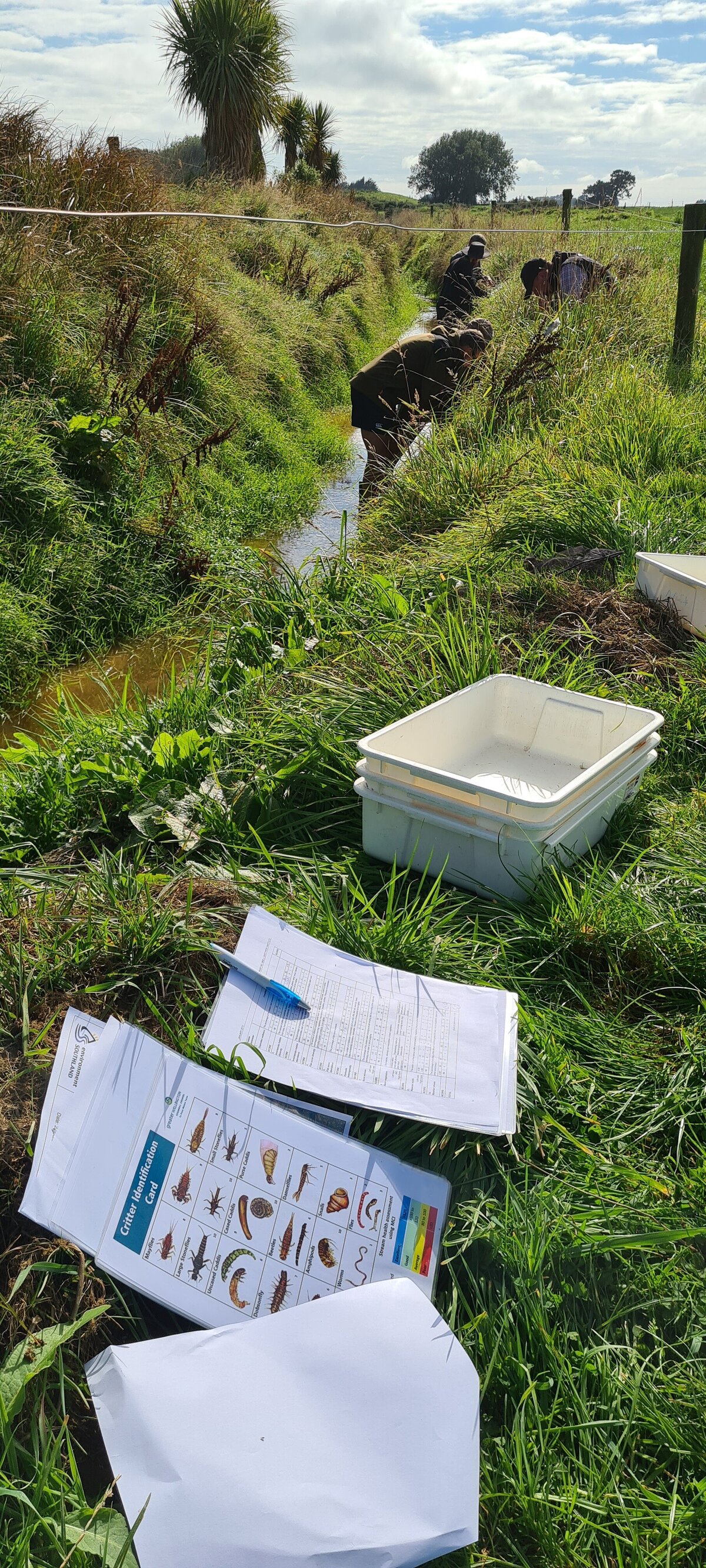 LOWER APARIMA | Thriving Southland