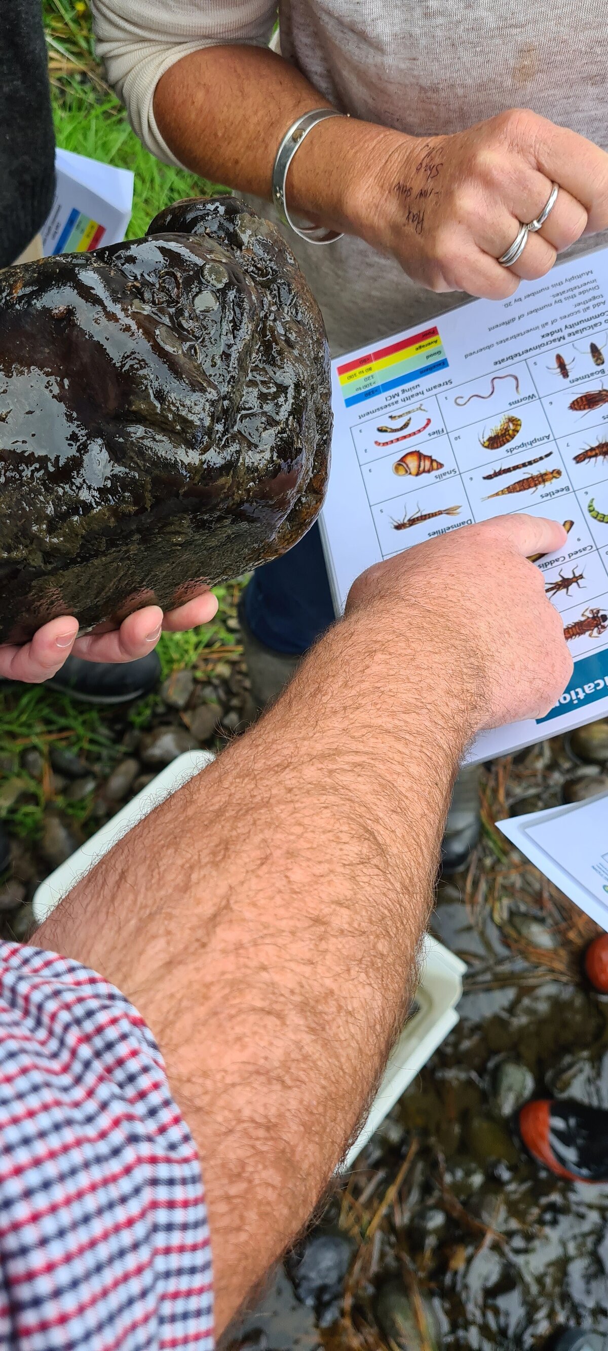 MID APARIMA | Thriving Southland