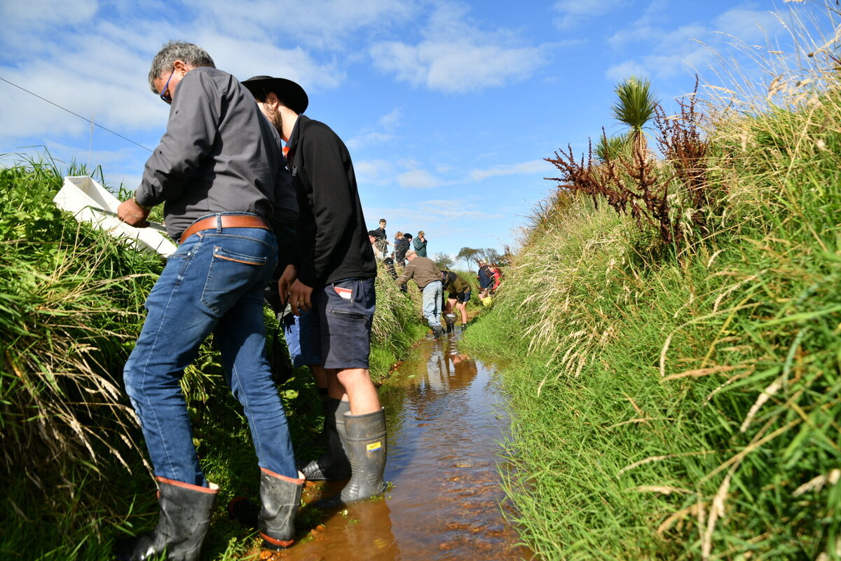Ace Stream Walk | Thriving Southland