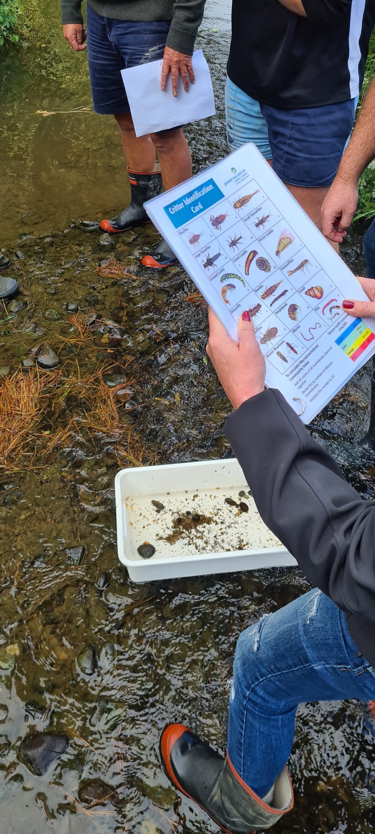 MID APARIMA | Thriving Southland