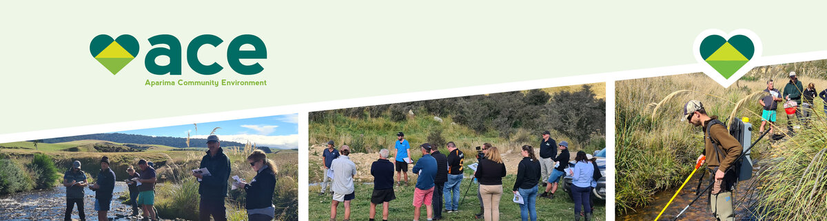 ACE_Current Events | Thriving Southland