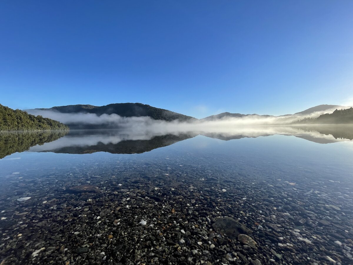 ABOUT | Electric Turtle Design