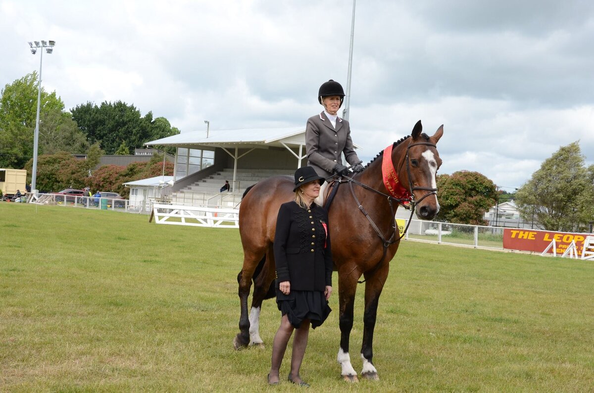 Equestrian at the CHB A&P Show | CHB A&P Association