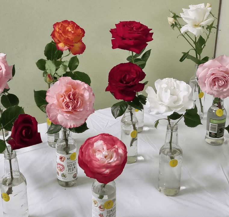 Home of the CHB A&P Association | CHB A&P Association