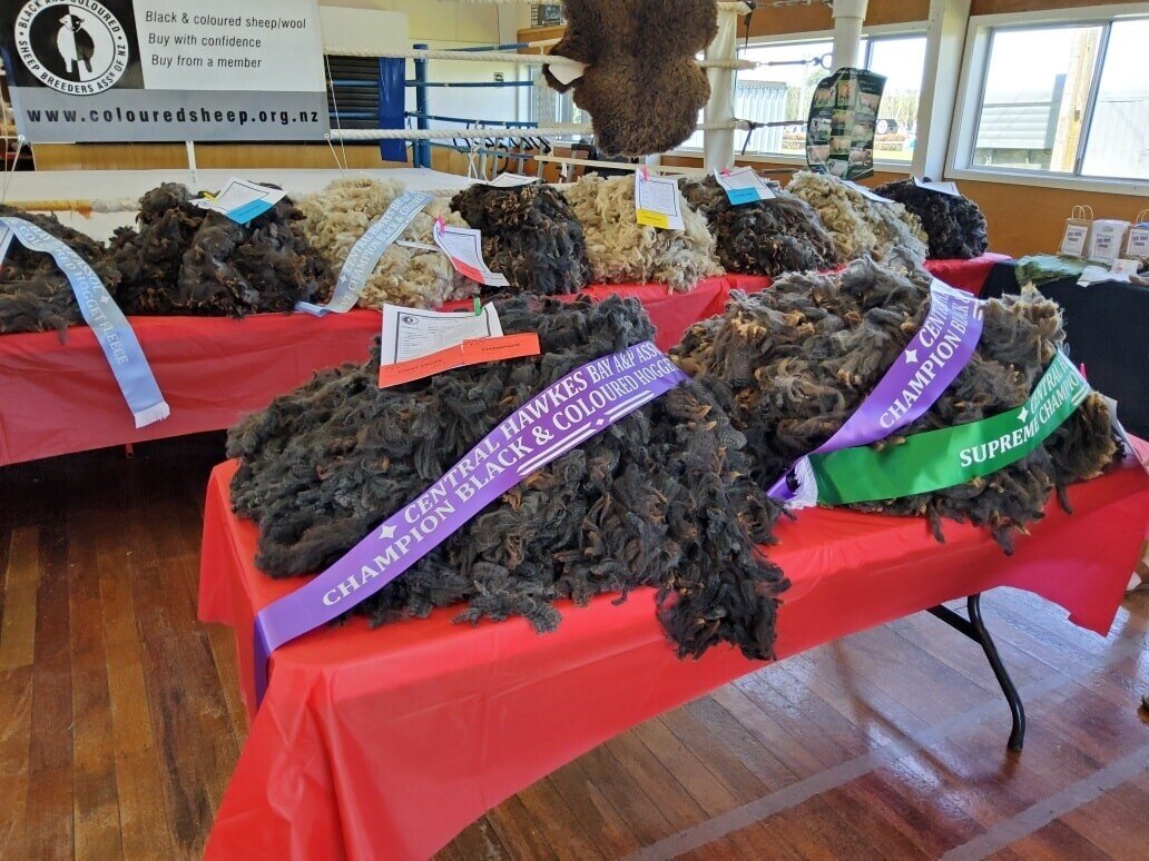 Coloured Wool | CHB A&P Association