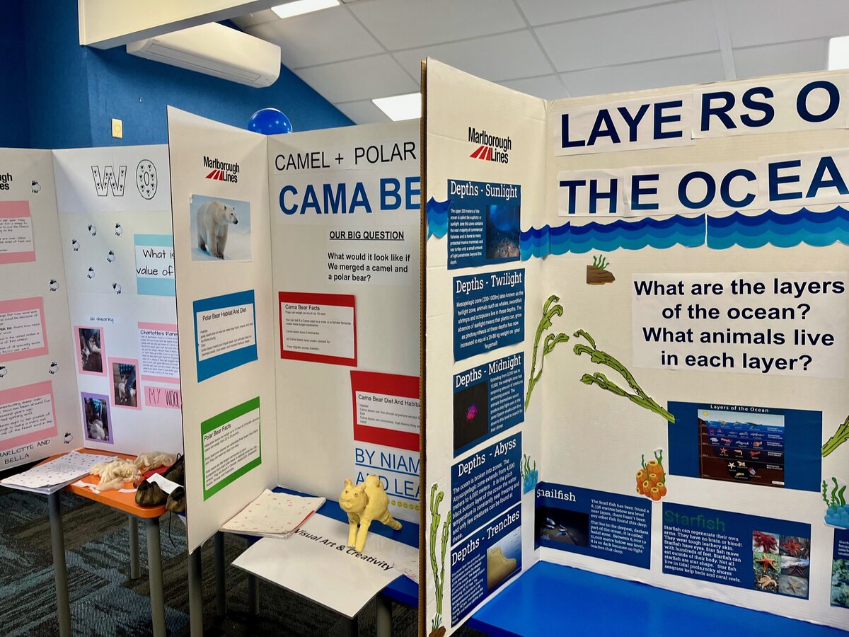 Science Fair 2023 | Renwick School