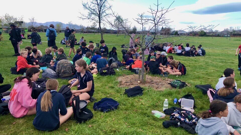 Orienteering for full primary schools of Marlborough | Renwick School