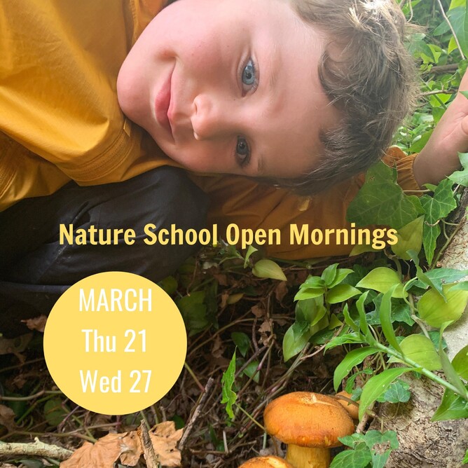 Everyone Out | Nature School Open Mornings Term 1 2024 Everyone Out | Nature School Open Mornings Term 1 2024