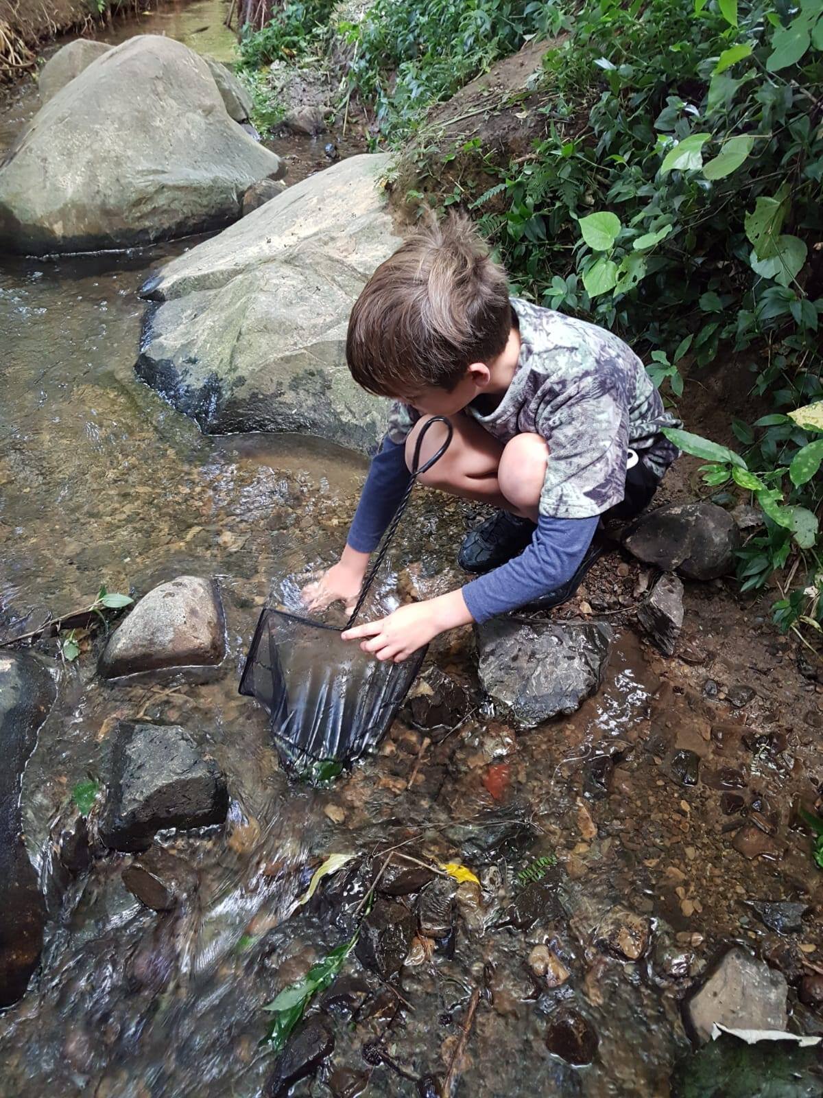 Everyone Out Nature School & Holiday Programme | Wellington