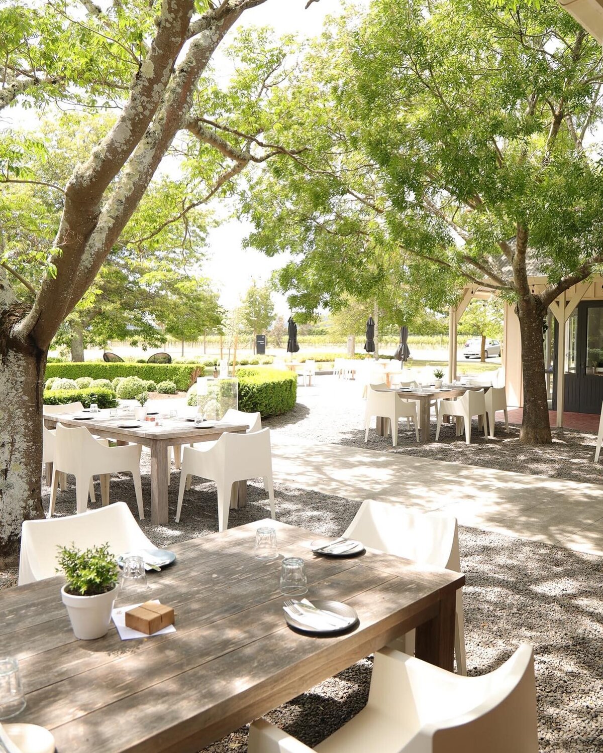 Palliser Estate Wines - Consistently great wine