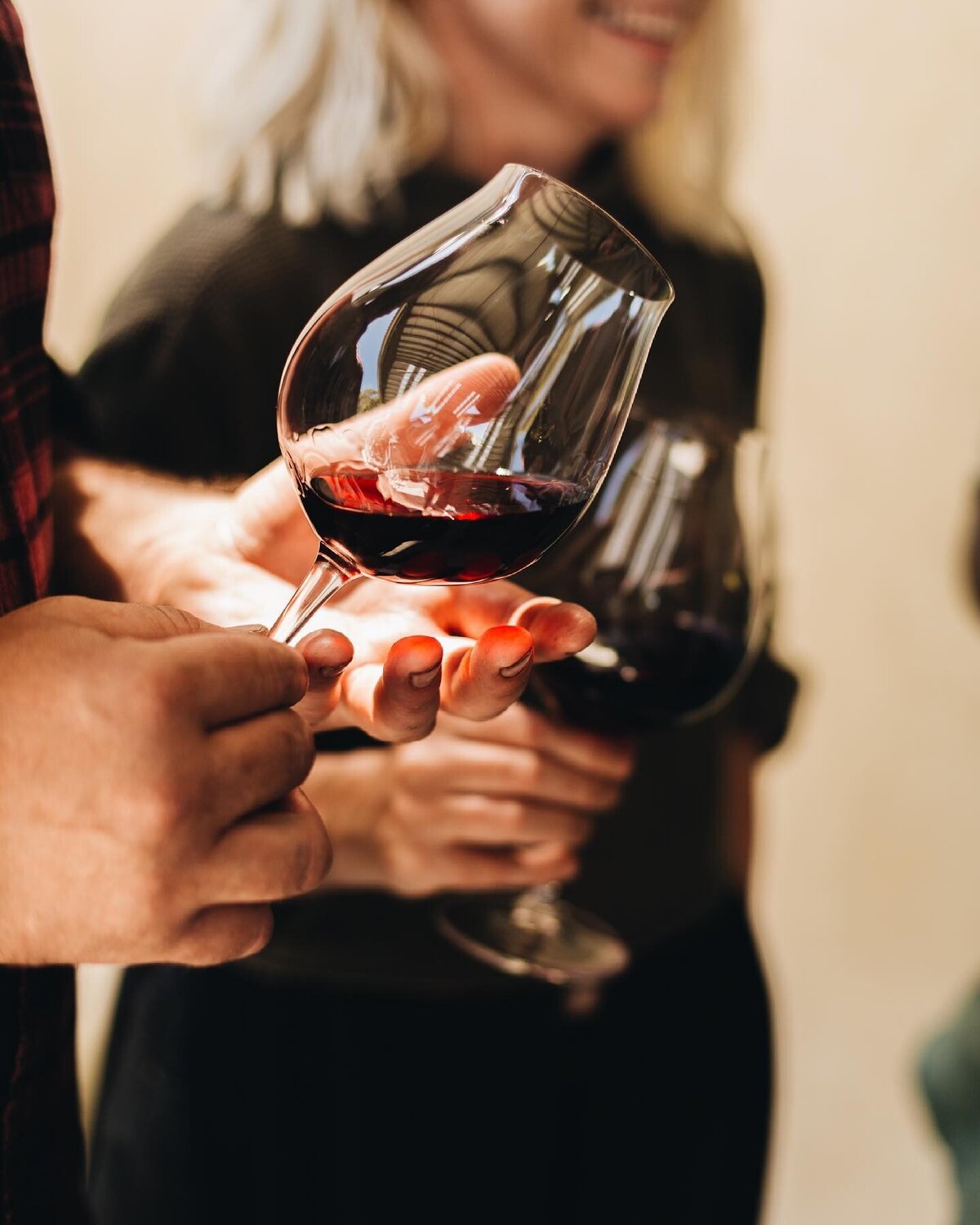 Ata Rangi, a small winery with a big rep for serious Pinot