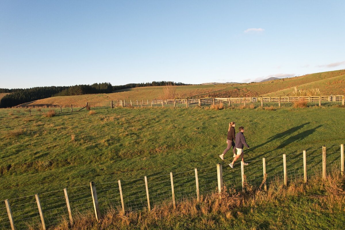 Daisy Bank Farm | Martinborough Village