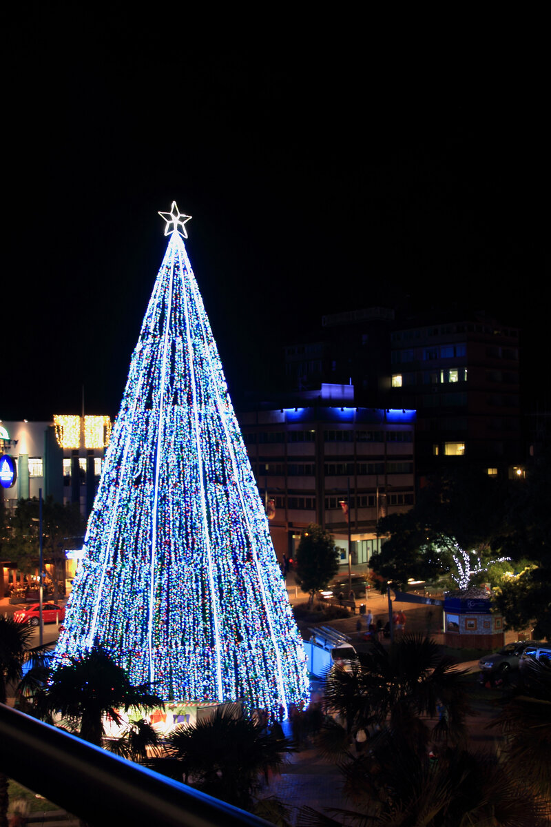 HMC | Hamilton’s Christmas Tree to shine brighter this year