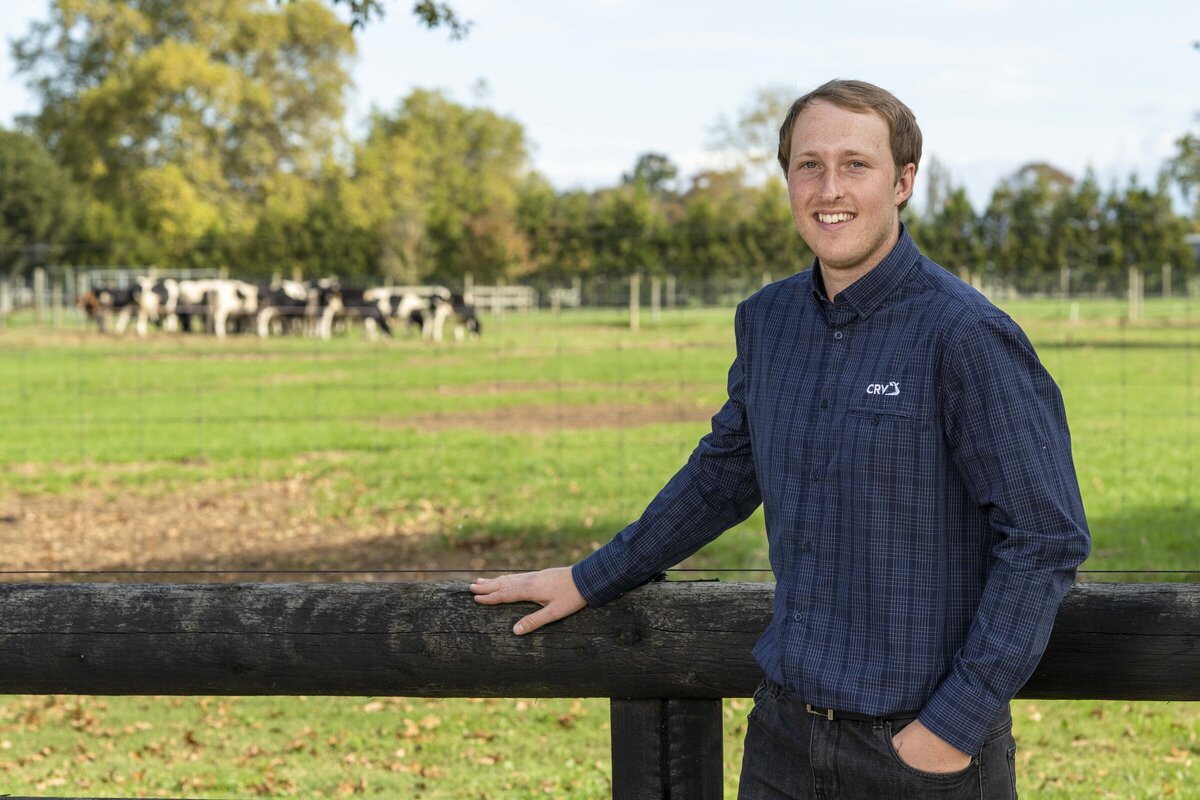 HMC | Farmer demand for dairy beef grows by 15% in a year