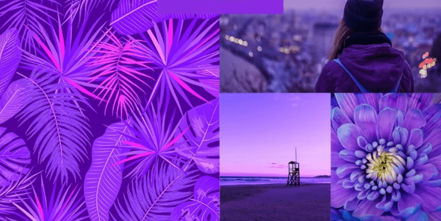 EMPOWER YOURSELF WITH COLOUR: PURPLE | Psychic Readings