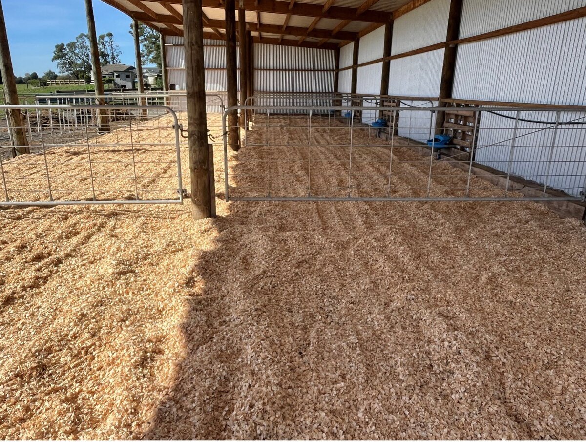Animal Bedding | Poultry Bedding | Wood Shavings | JDC