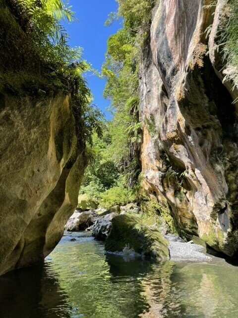 Patuna Farm Adventures | HOME