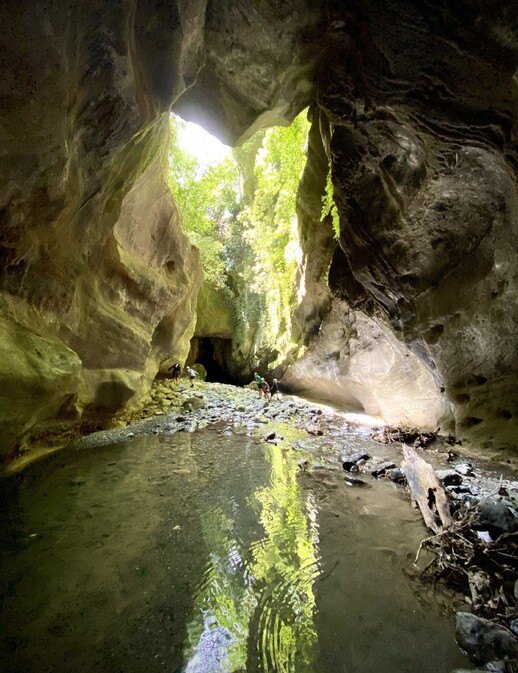 Patuna Farm Adventures | HOME