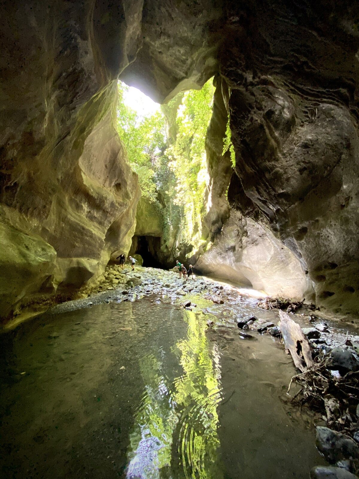 Patuna Farm Adventures | HOME