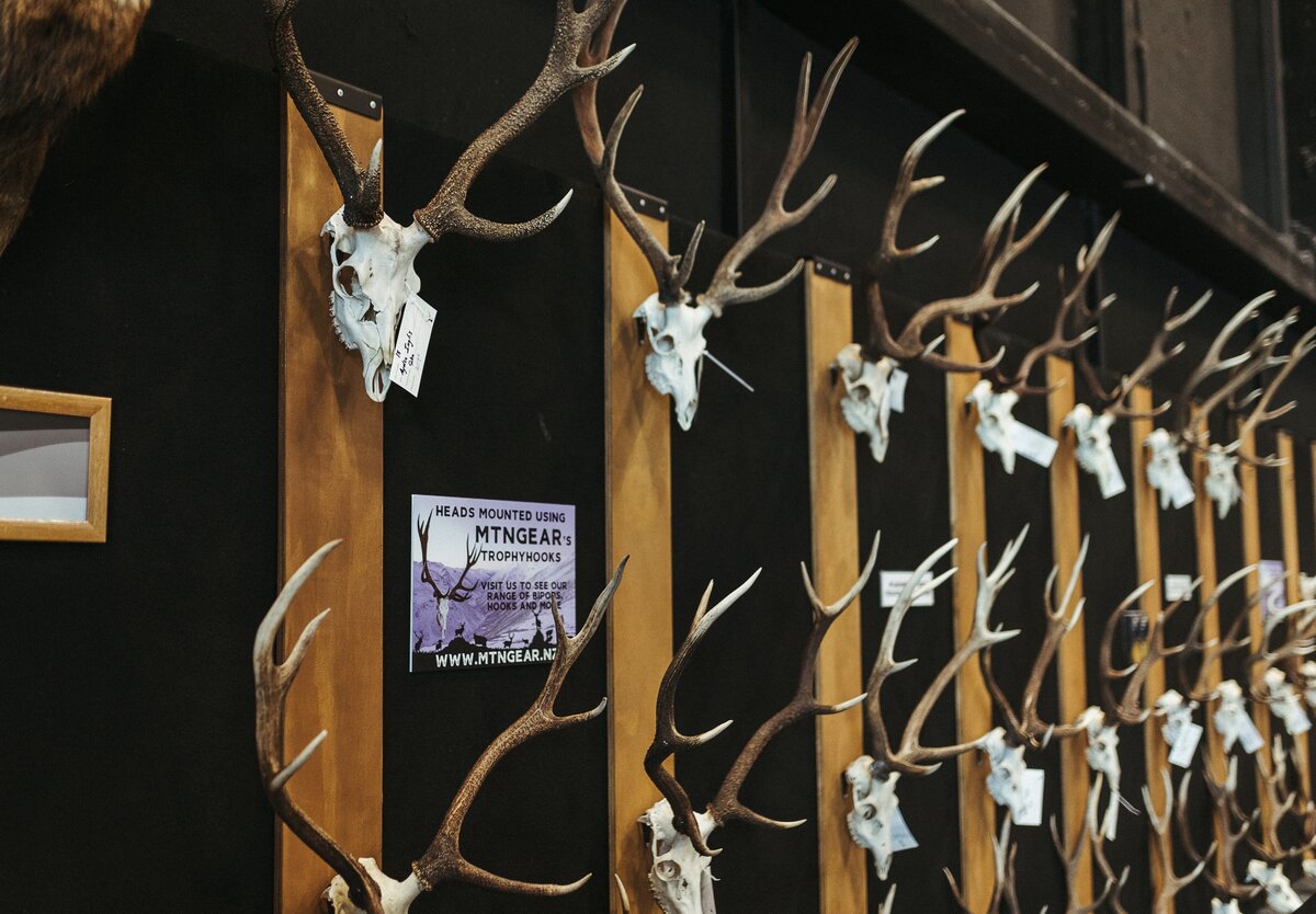 Head Comp Categories | Sika Show