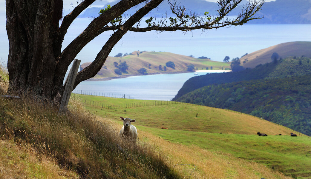 Capernwray New Zealand | Adventure Lodge