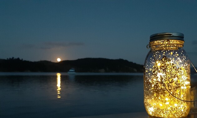 Raglan Harbour Cruises | Raglan Boat Charters - WahineMoe