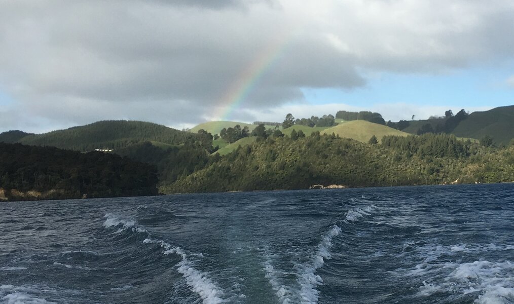 Lake Ohakuri Trout Fishing | HYDRO EXPLORER TOUR