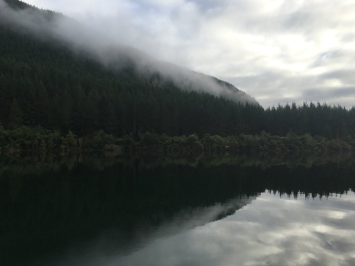 Lake Atiamuri Trout Fishing | HYDRO EXPLORER TOUR