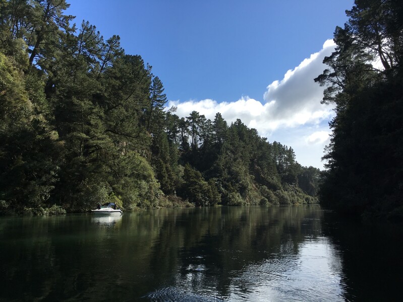 Lake Ohakuri Trout Fishing | HYDRO EXPLORER TOUR
