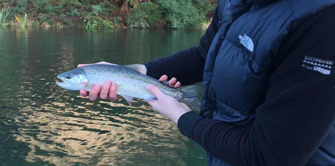 Lake Ohakuri Trout Fishing | HYDRO EXPLORER TOUR