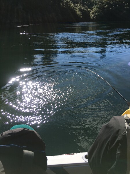 Lake Atiamuri Trout Fishing | HYDRO EXPLORER TOUR