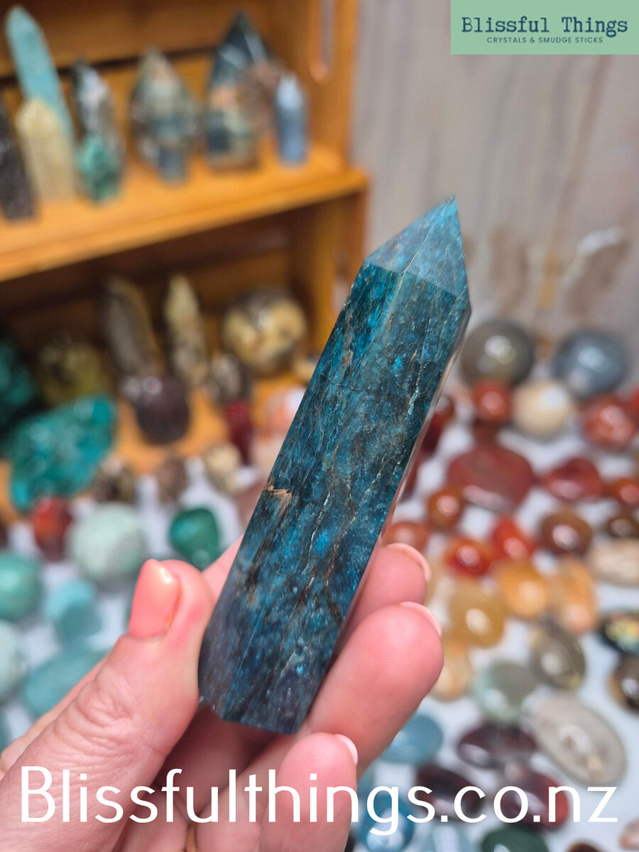 Blue Apatite | Kristy Phillips