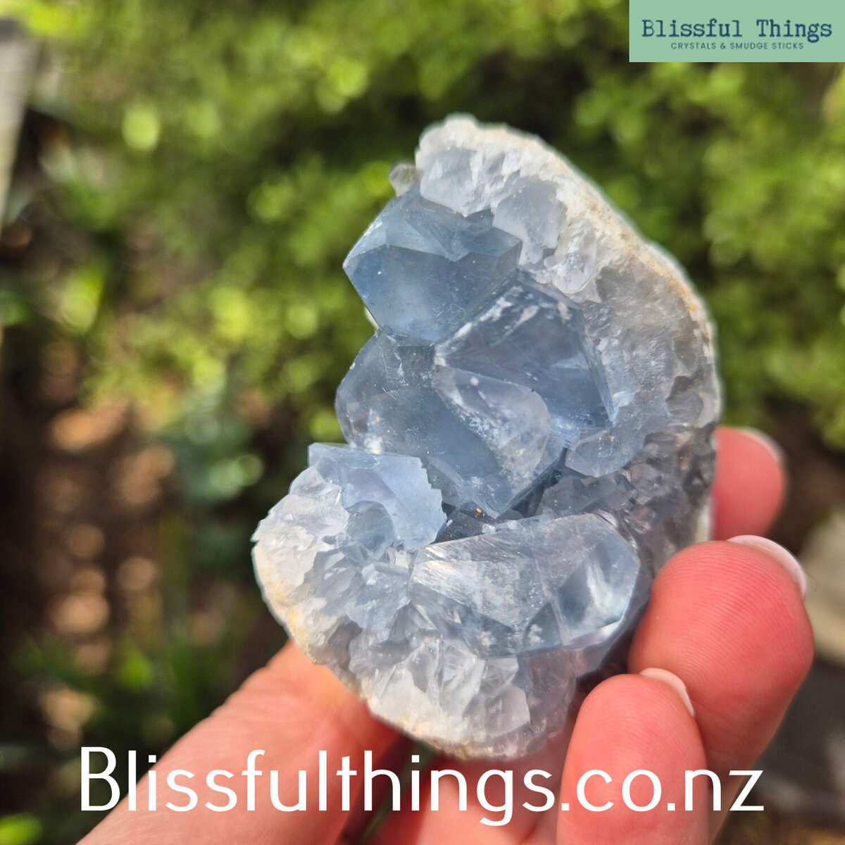 Celestite | Kristy Phillips