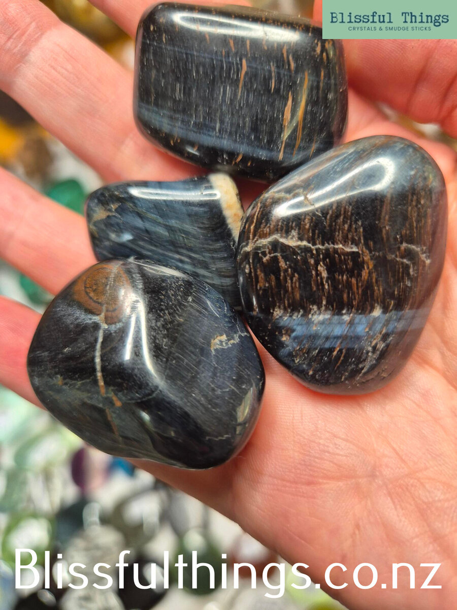 Blue Tiger's Eye | Kristy Phillips